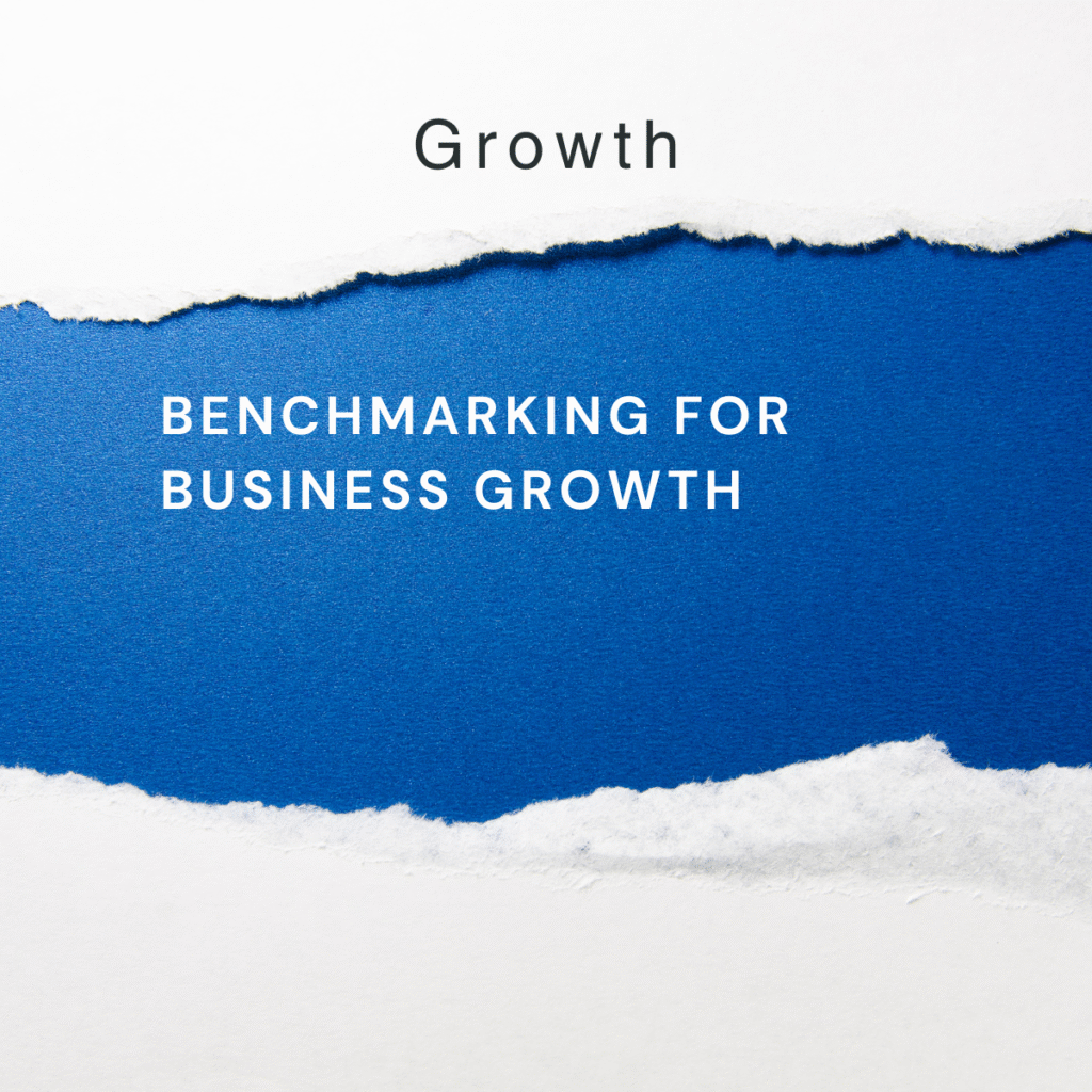 The Power of Benchmarking | Drive Business Growth with BMK